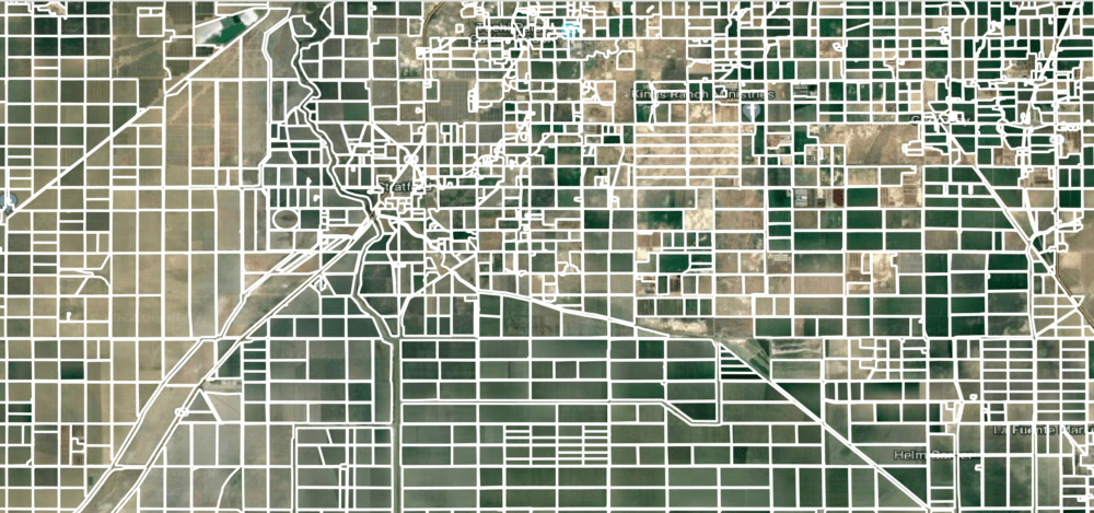 The Blooming Landscape: Exploring New Frontiers in the Fields of ...